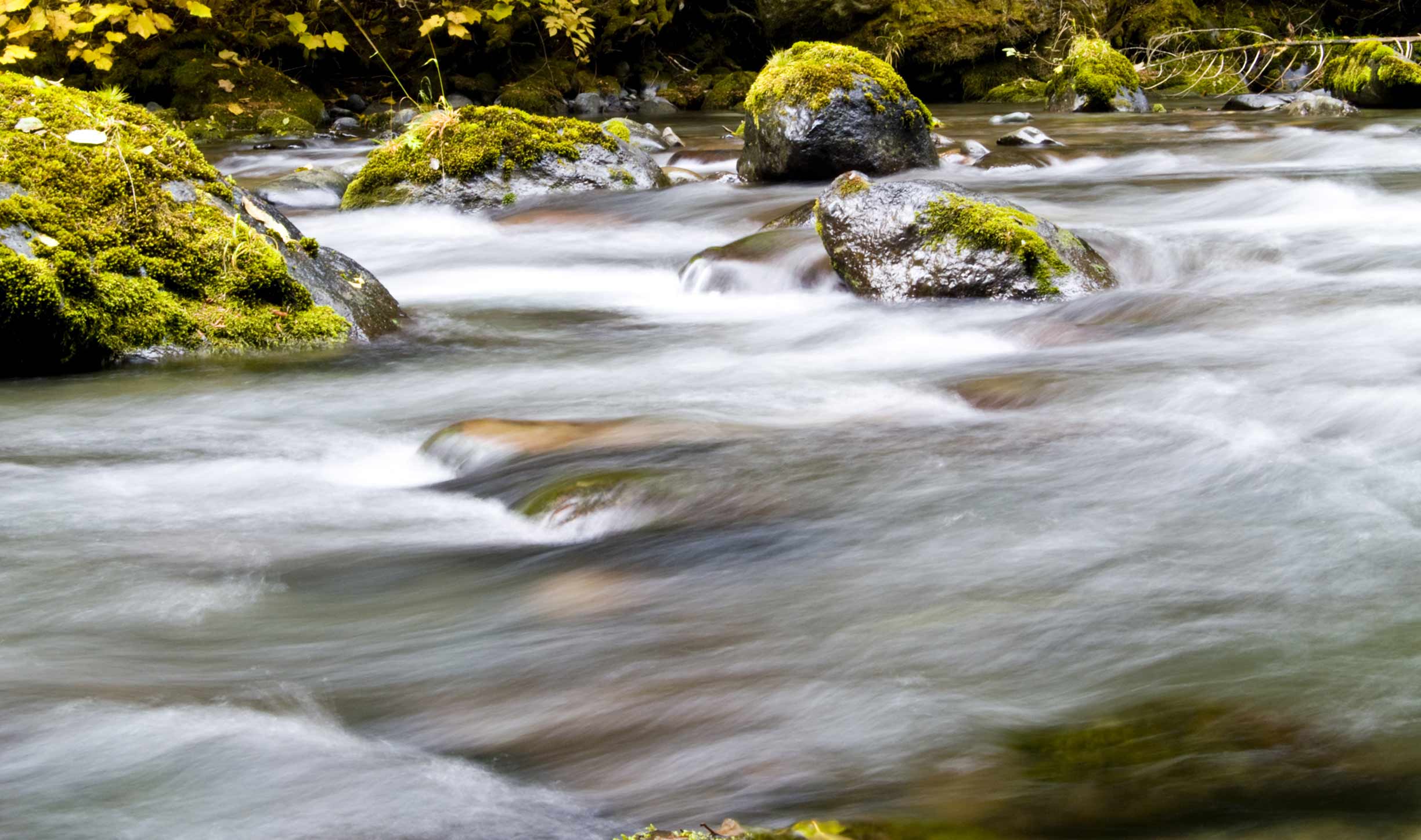 Meter Pilot Program - Dungeness Water Exchange